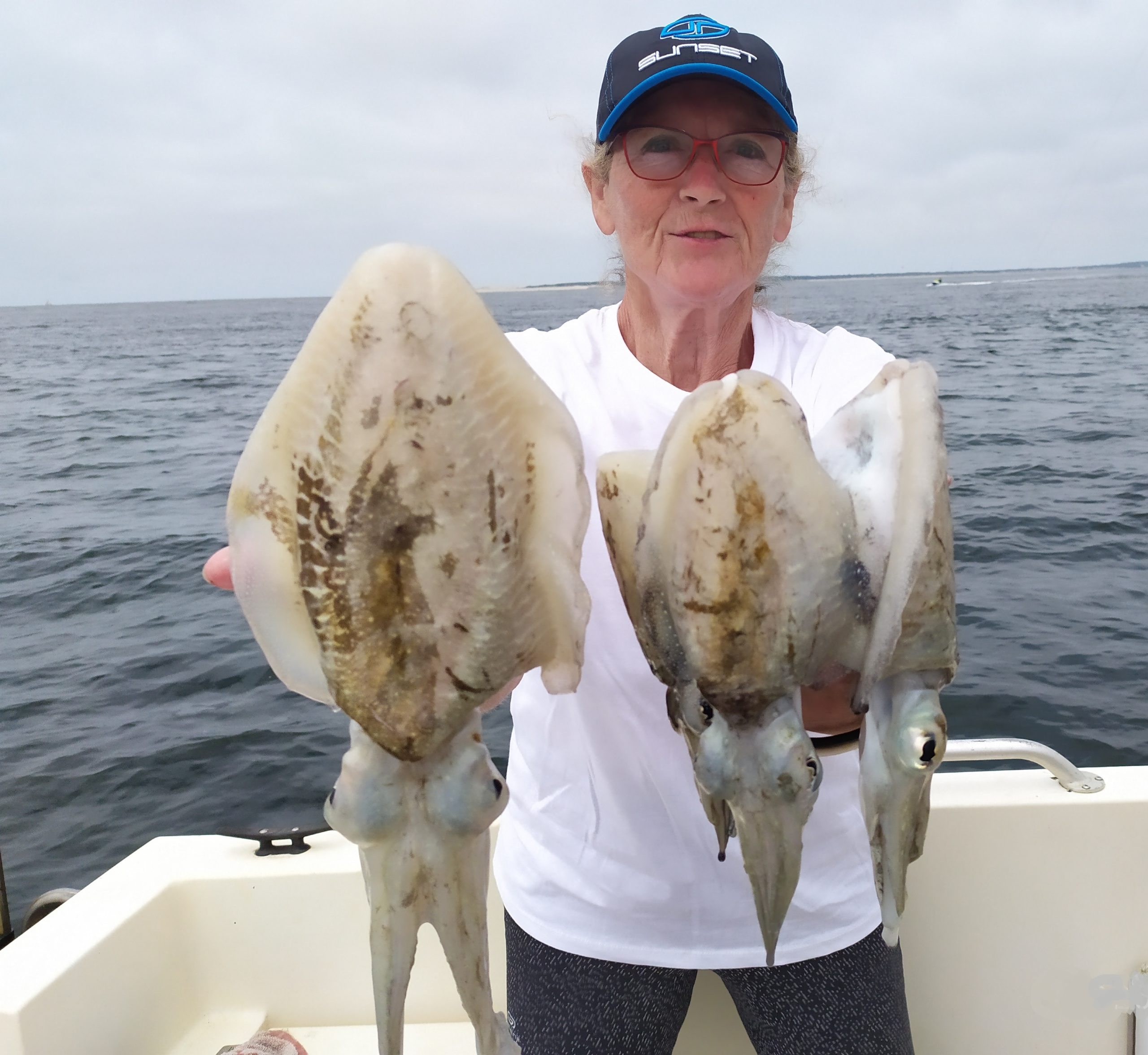 A la recherche des seiches. - Sunset Fishing A la recherche des seiches.